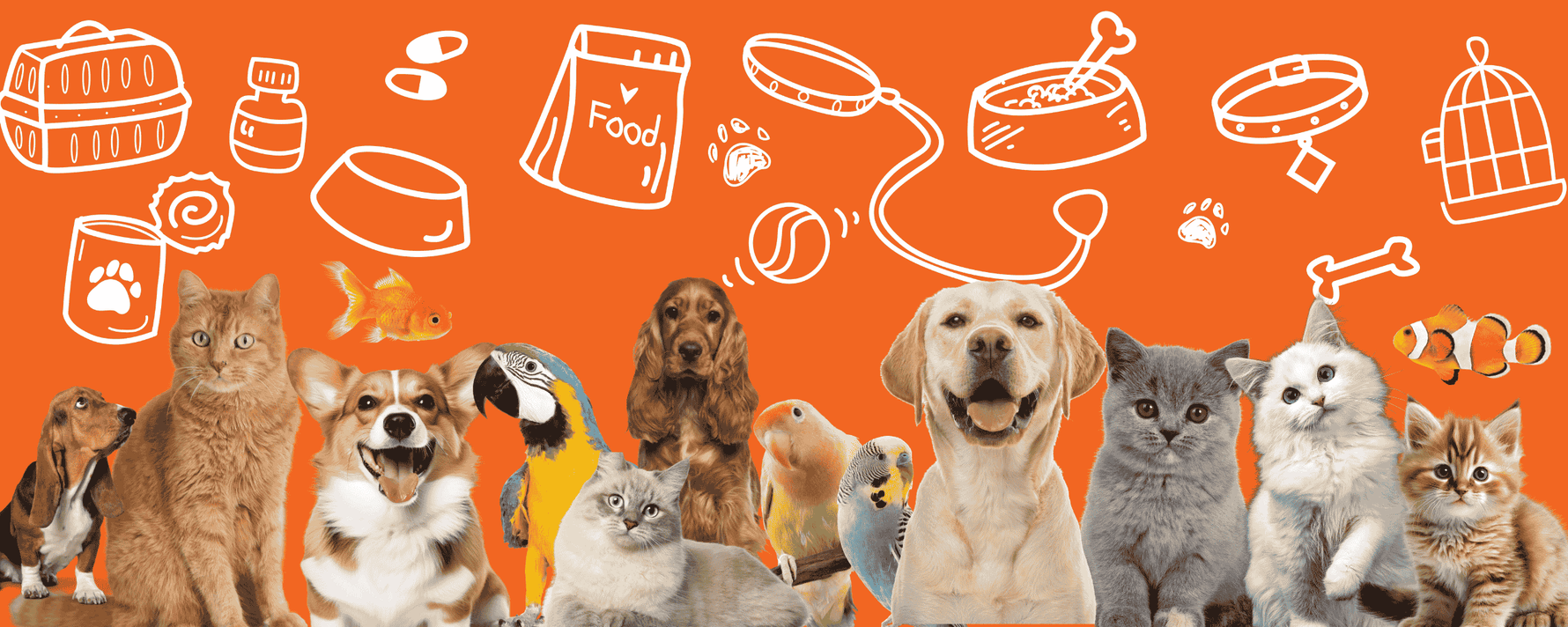 One Stop Pet Shop | Pet Food & Accessories Store in Colombo Sri Lanka ...